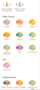 10 Things I Wish I Knew Before Teaching With VIPKID
