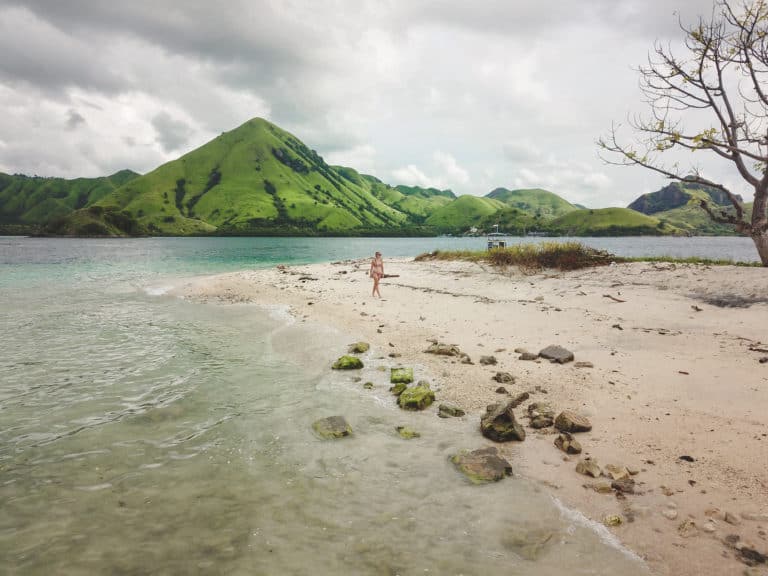 Rinca Island: Everything You Need to Know to Plan Your Trip - Mike ...