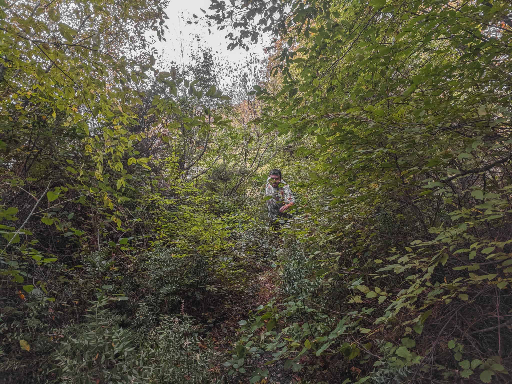 Exploring Vrmac: Kotor to Tivat Hike - Mike & Laura Travel