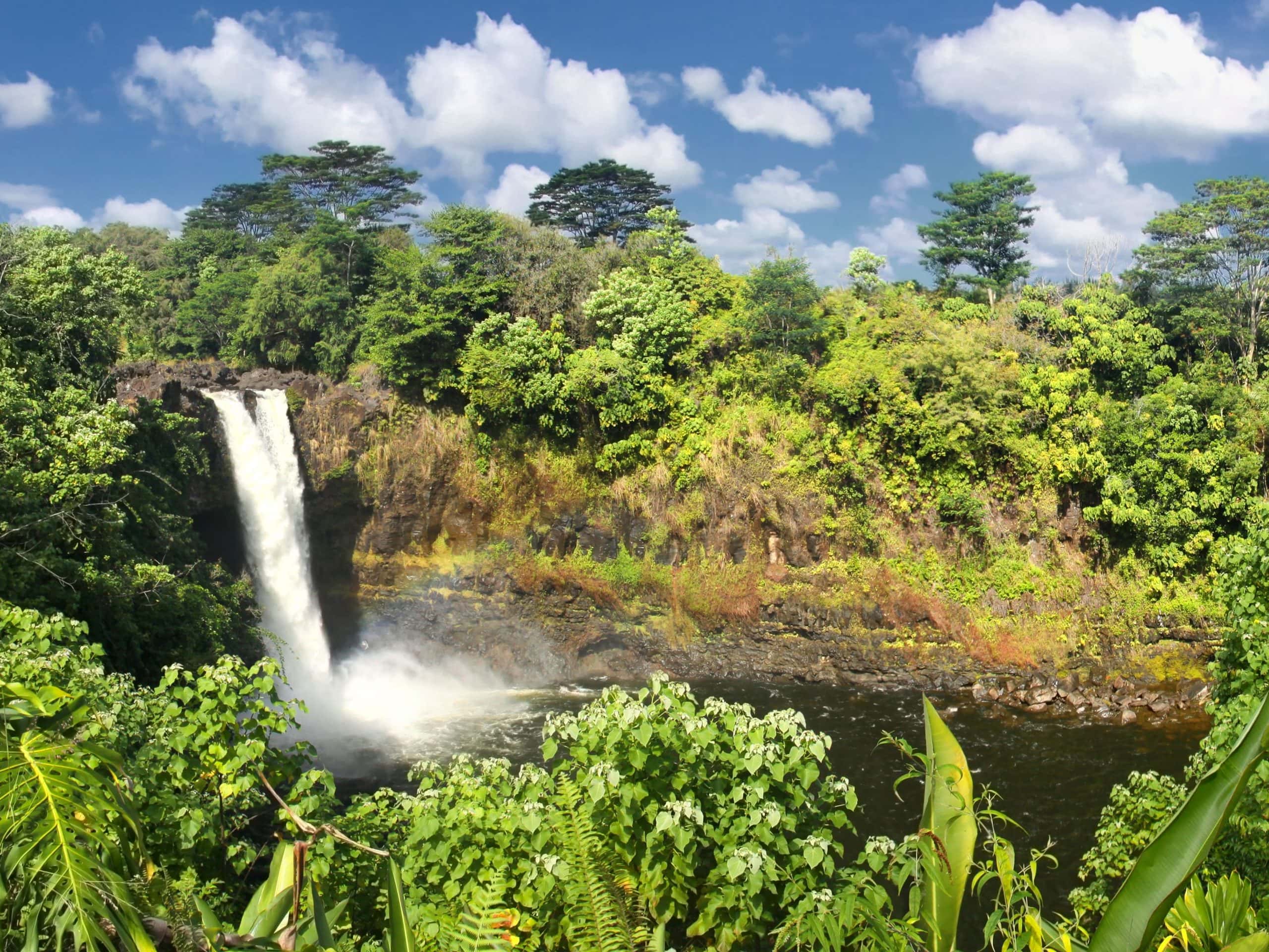 25 Best Things To Do In Hilo, Hawaii 2022 - Mike & Laura Travel