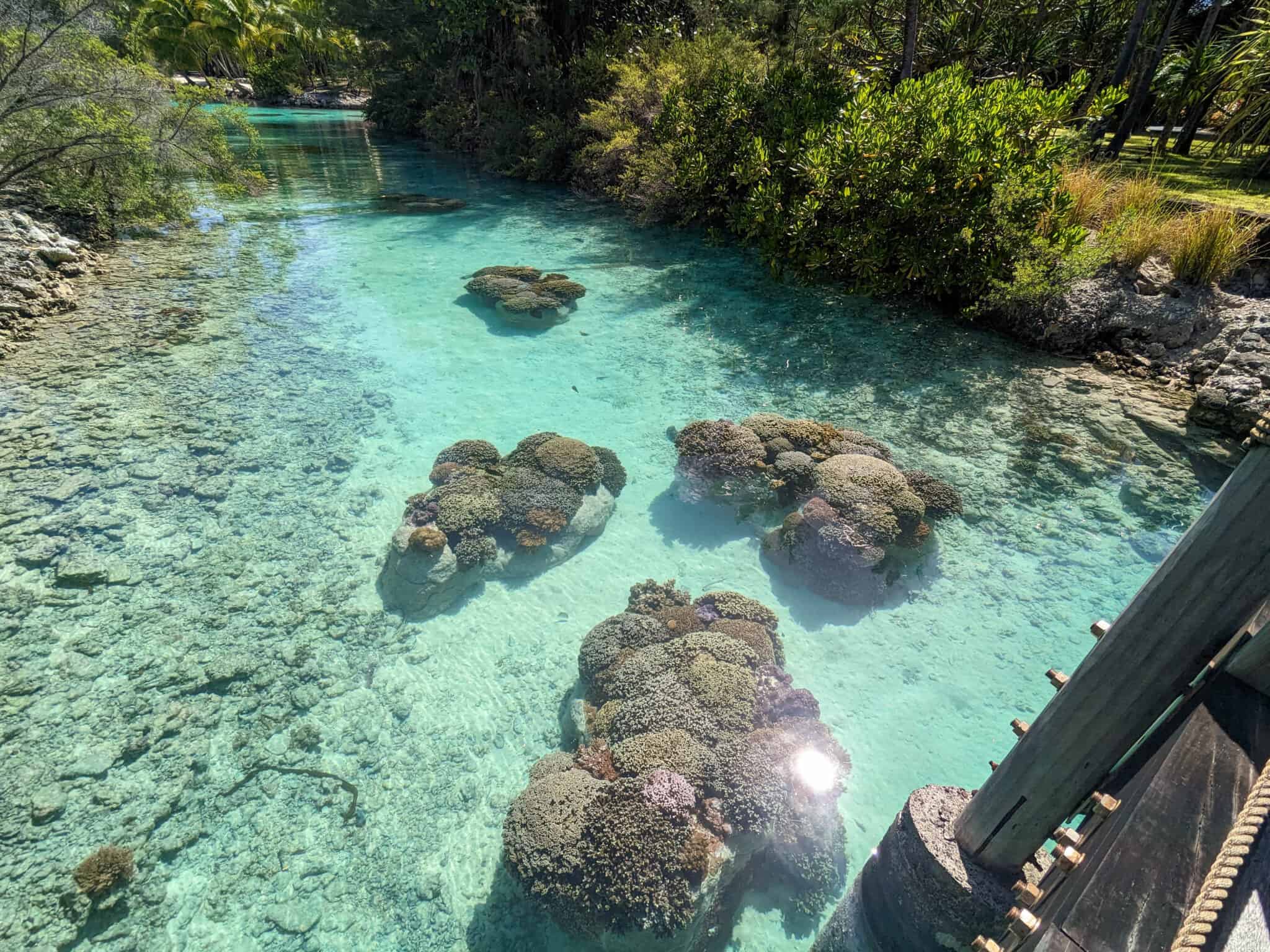 33 Pictures of Bora Bora That Will Make You Pack Your Bags - Mike ...