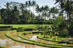 19 Countries Where $2,000/Month Lets You Live Well And Travel Often ...